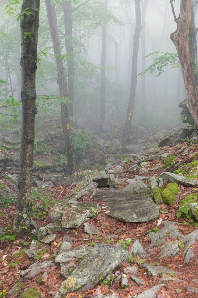 Hiking the Allegheny Front Trail to Ralph's Pretty Good View ...