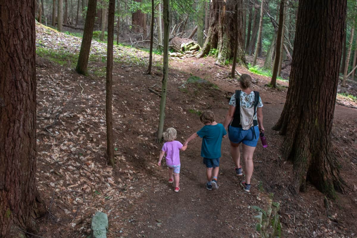 Hiking Through the Majestic Forest Cathedral in Cook Forest State Park ...