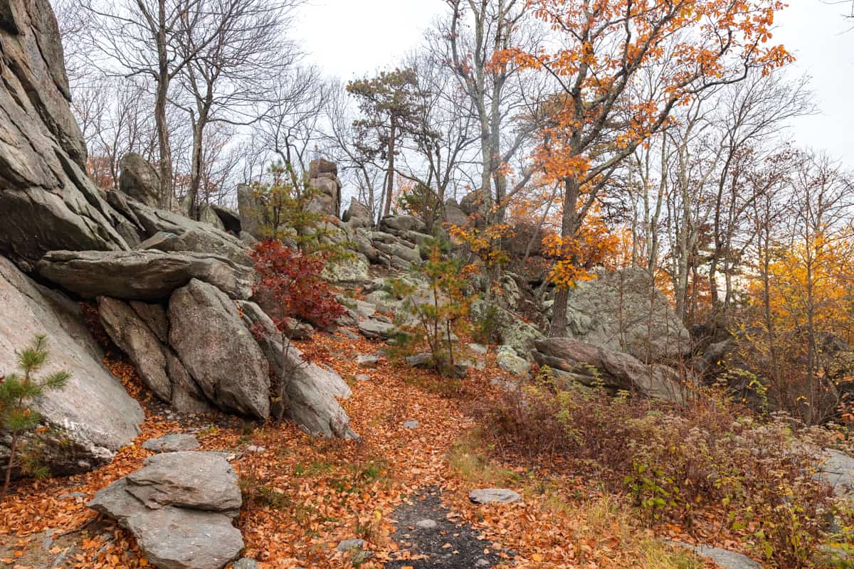 Exploring Hammonds Rocks in Michaux State Forest in Cumberland County ...