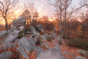 Exploring Hammonds Rocks in Michaux State Forest in Cumberland County ...