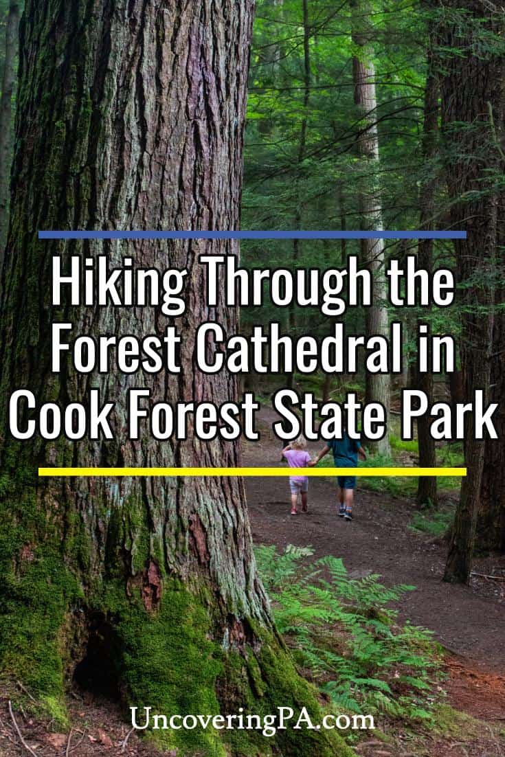Hiking Through the Majestic Forest Cathedral in Cook Forest State Park ...