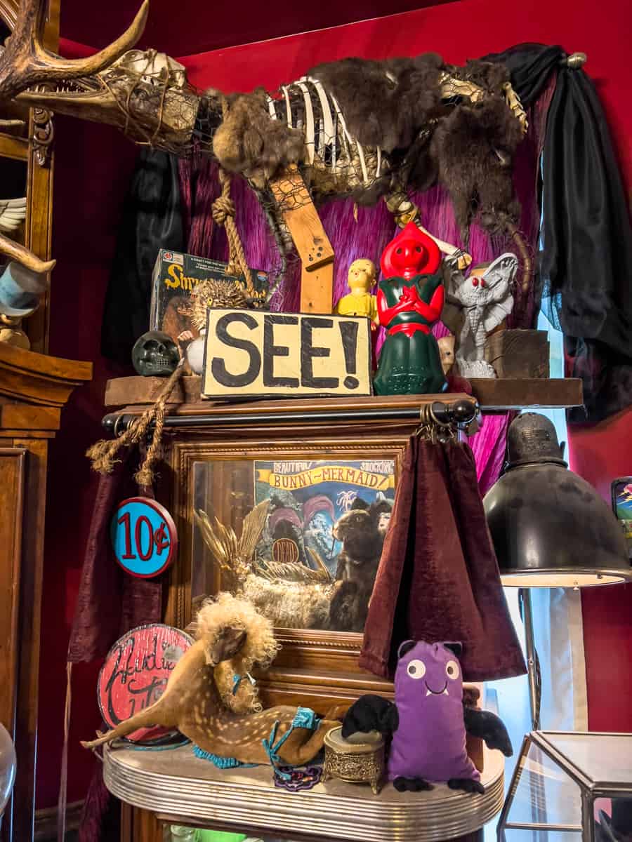 Exploring the Unusual at Trundle Manor in Pittsburgh - Uncovering PA