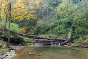 Hiking the Gorge in Cedar Creek Park to its Swinging Bridges and Waterfalls - Uncovering PA