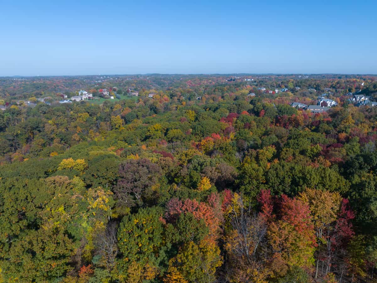 Visiting the Historic North Park Water Tower: A Hidden Gem near ...