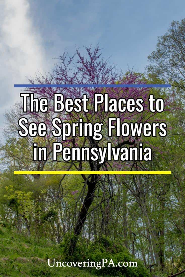 10 Beautiful Spots to See Spring Flowers in Pennsylvania - Uncovering PA