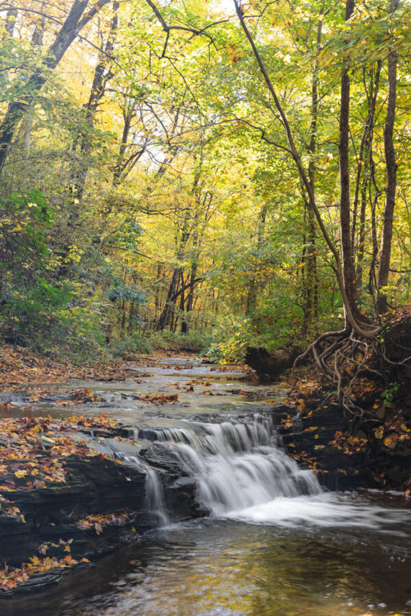 20 Beautiful Waterfalls Near Pittsburgh - Uncovering PA