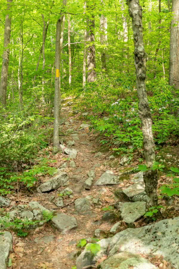 Hiking to the Abandoned Train Tunnel in Big Spring State Park in Perry ...