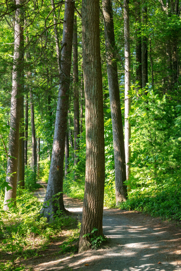 Hiking the Lakeside Trail at Cowans Gap State Park in Fulton County, PA ...
