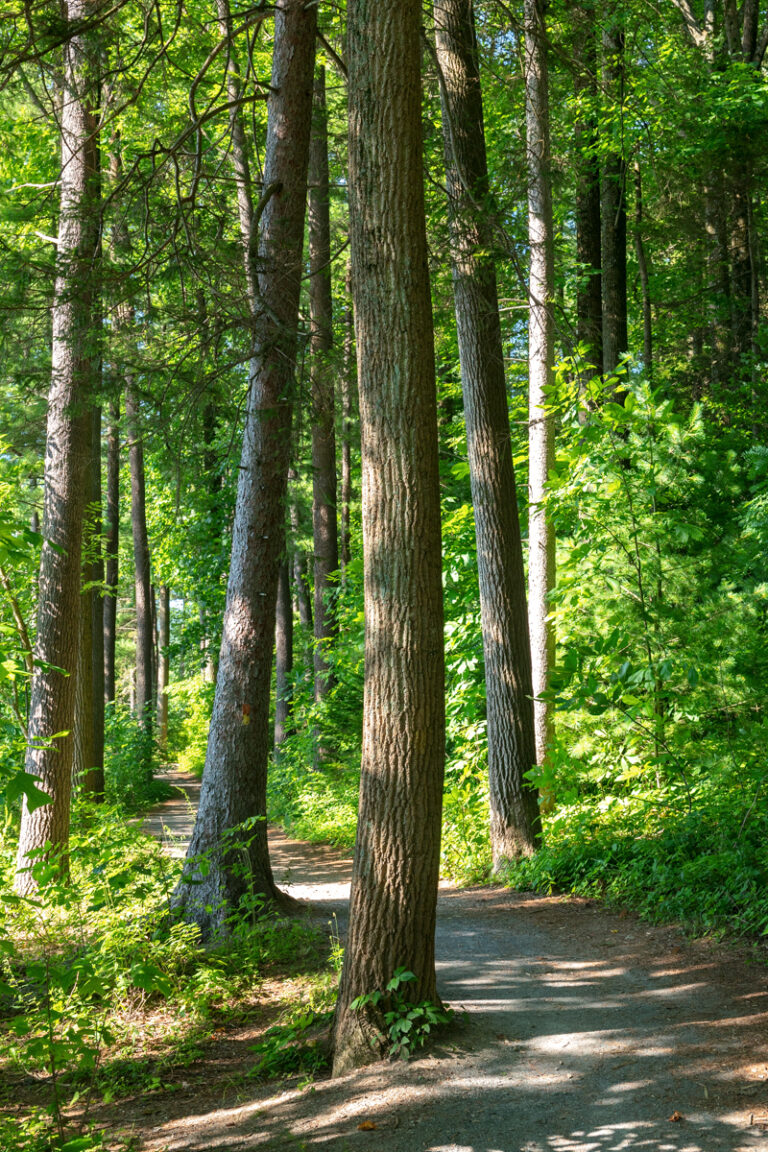 Hiking the Lakeside Trail at Cowans Gap State Park in Fulton County, PA ...