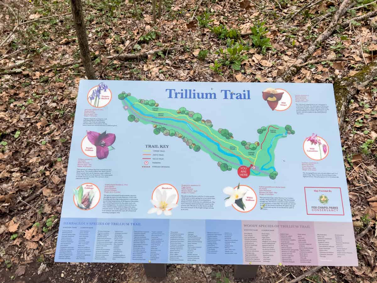 Hiking the Trillium Trail near Pittsburgh, PA - Uncovering PA