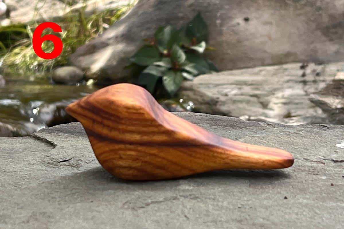 Comfort Birds - Uncovering PA