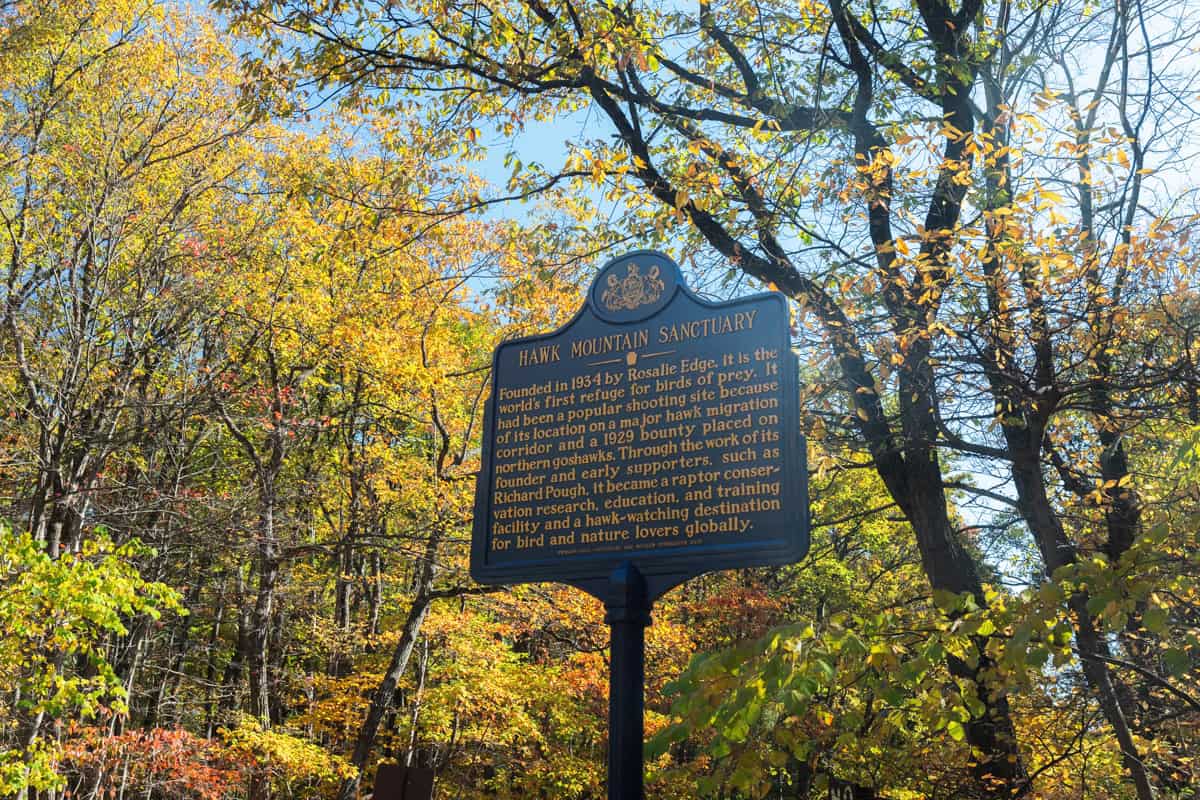 Hiking Through the Beautiful Hawk Mountain Sanctuary in Berks County ...